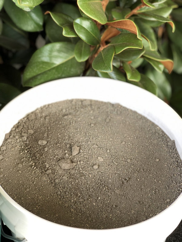 Soft Rock Phosphate – Screening Trees WA